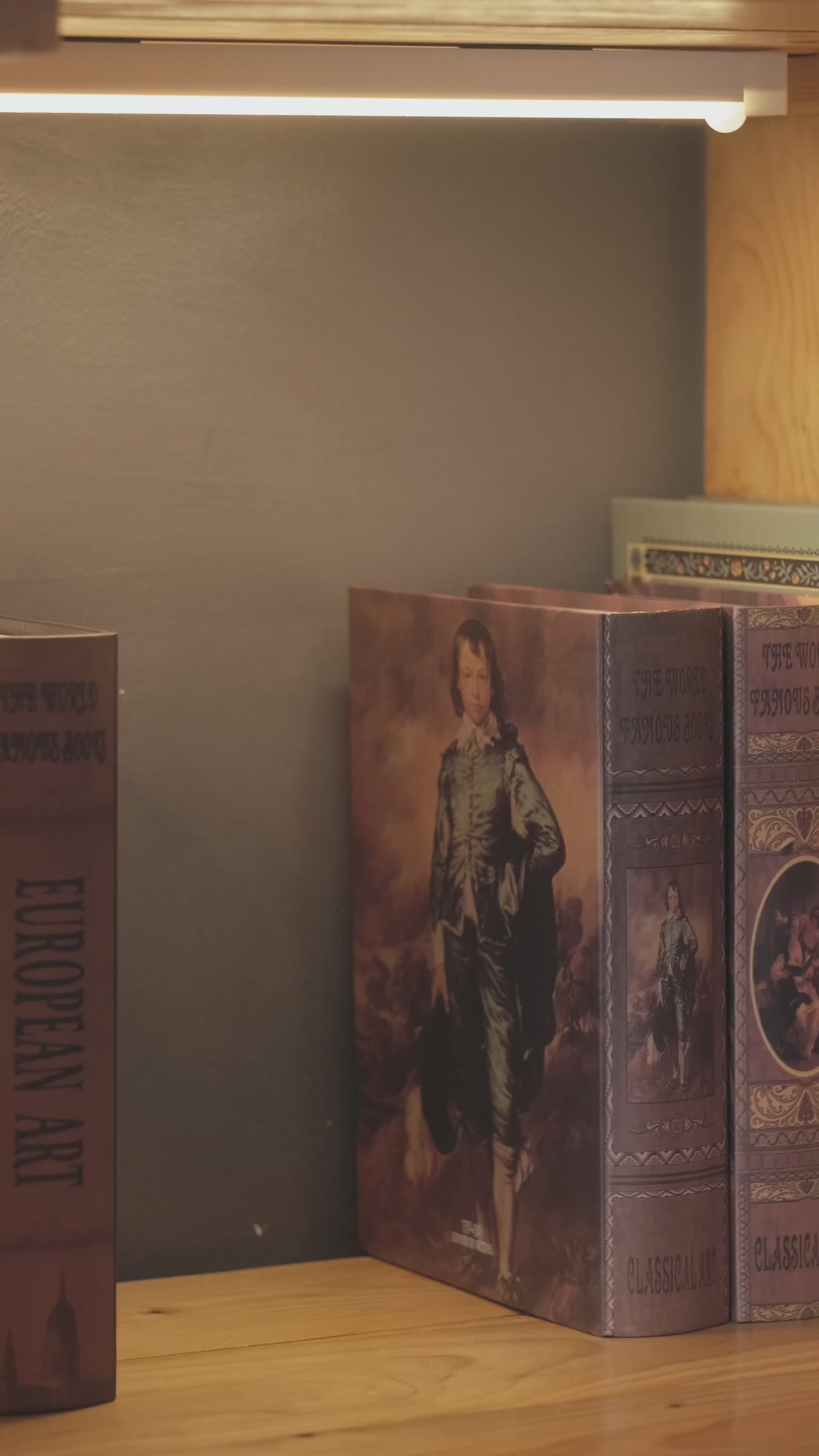Anavrin™ Official Shop | DIY Book Nooks | Museum-Quality Realism